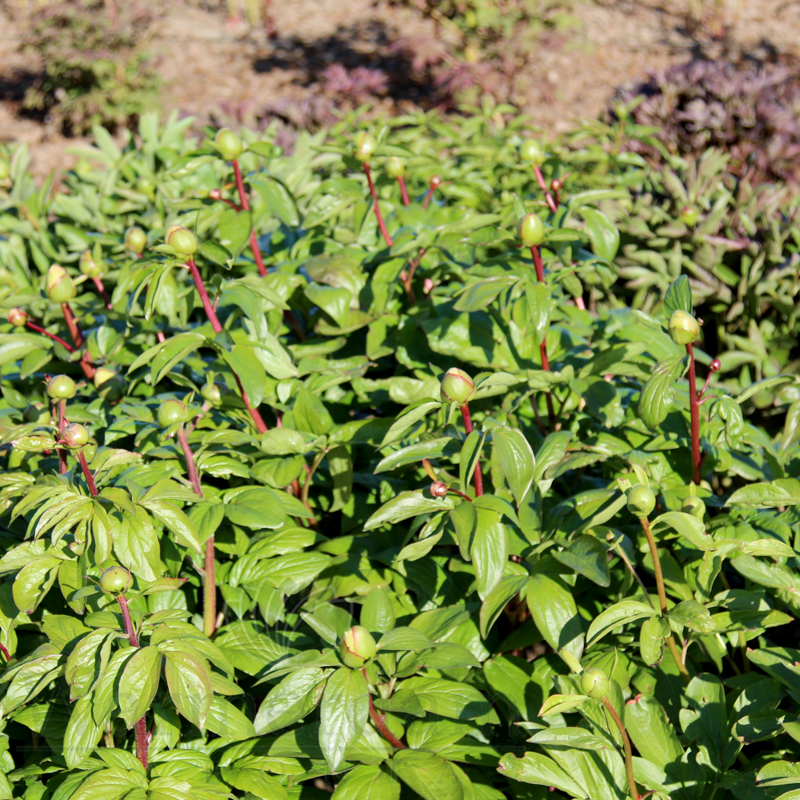 Unable to fetch data.