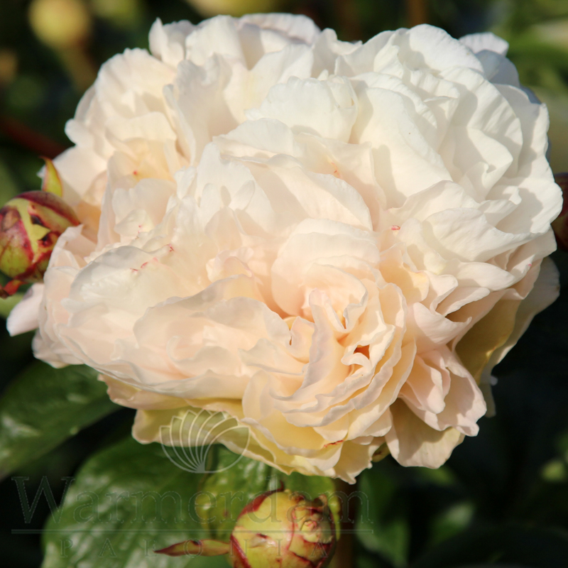 Unable to fetch data.