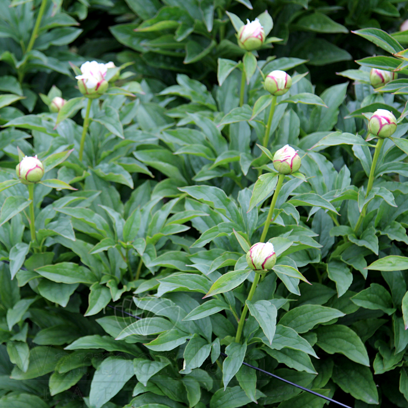 Unable to fetch data.