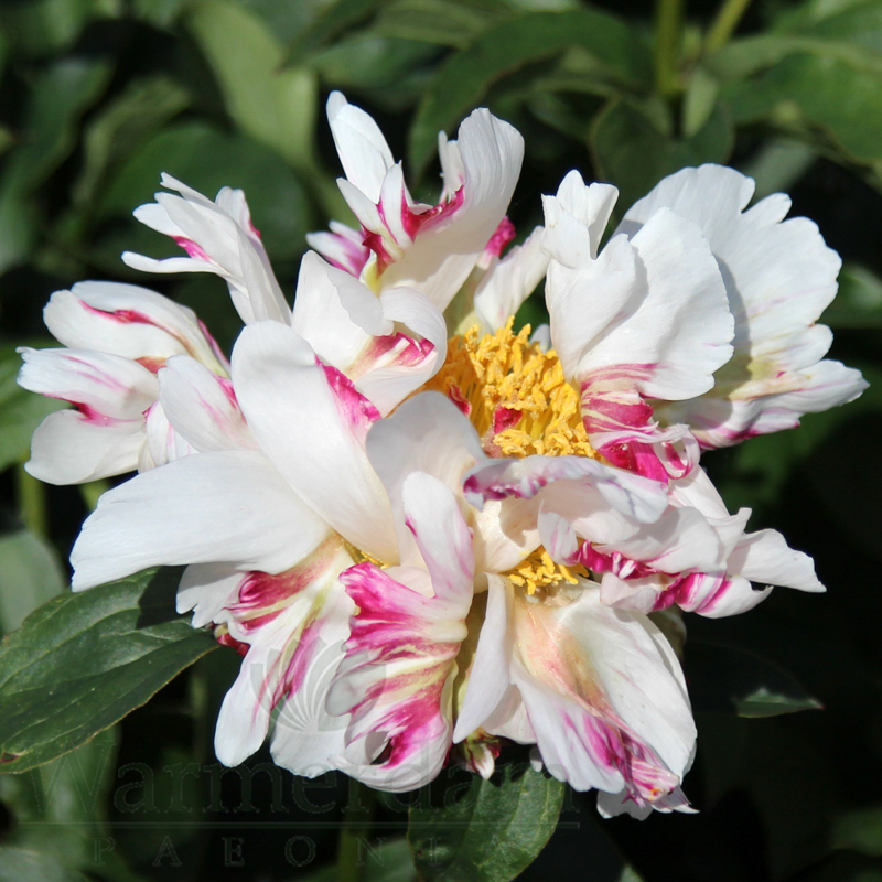 Unable to fetch data.