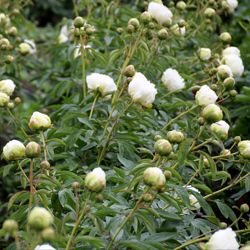 Unable to fetch data.