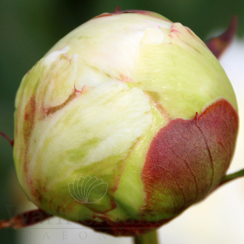 Unable to fetch data.