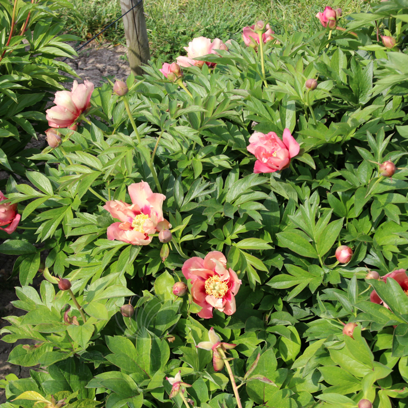 Unable to fetch data.