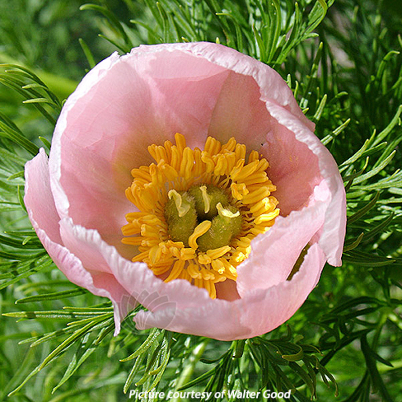 Unable to fetch data.