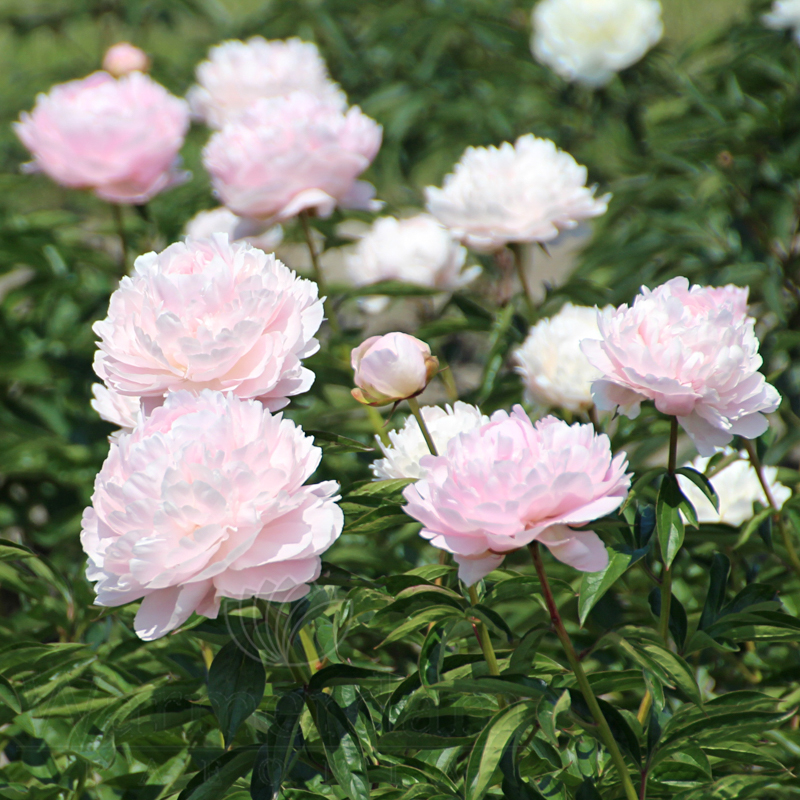 Unable to fetch data.