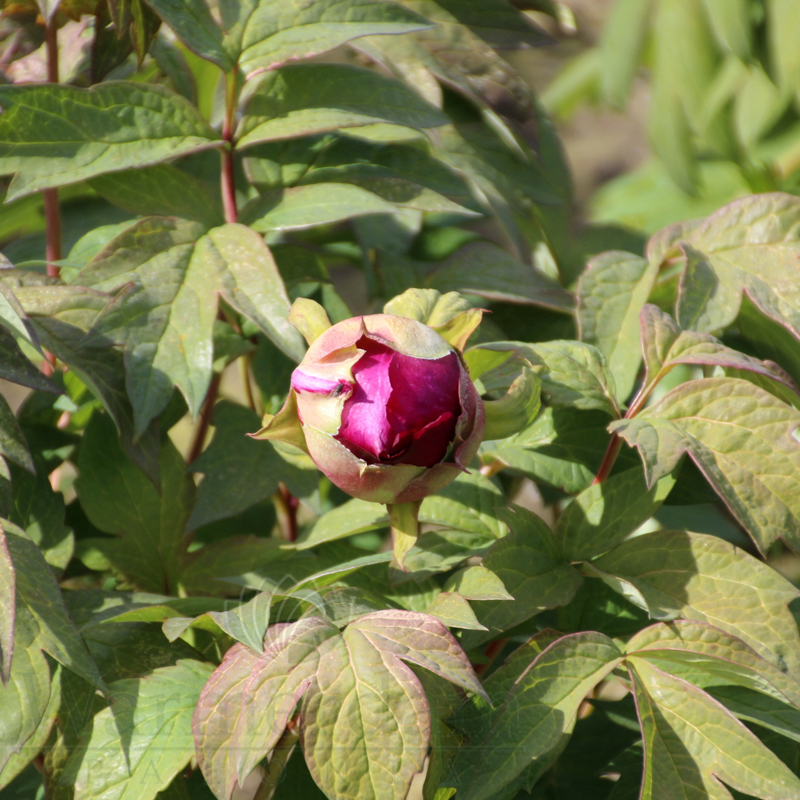 Unable to fetch data.