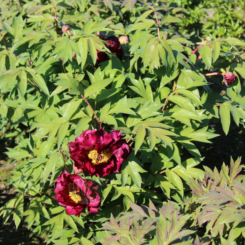 Unable to fetch data.