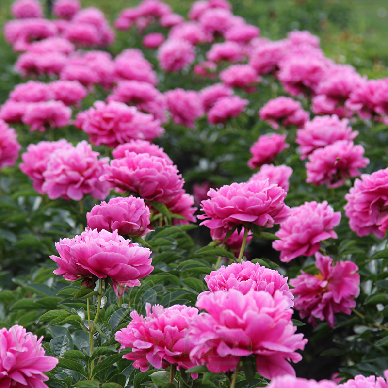 Unable to fetch data.