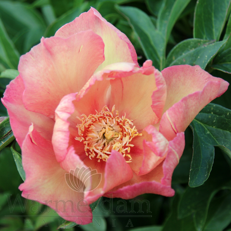 Unable to fetch data.