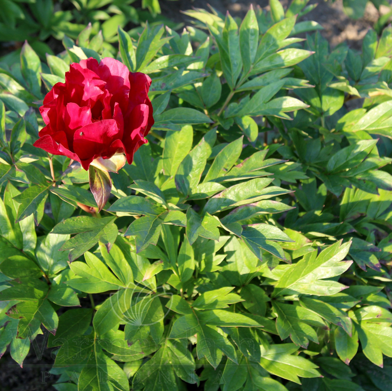 Unable to fetch data.